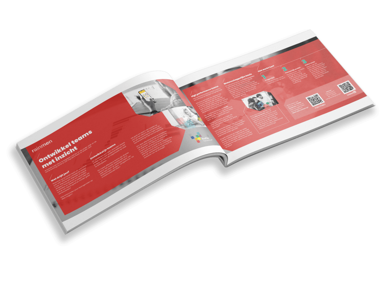 Profile Dynamics - Rainmen